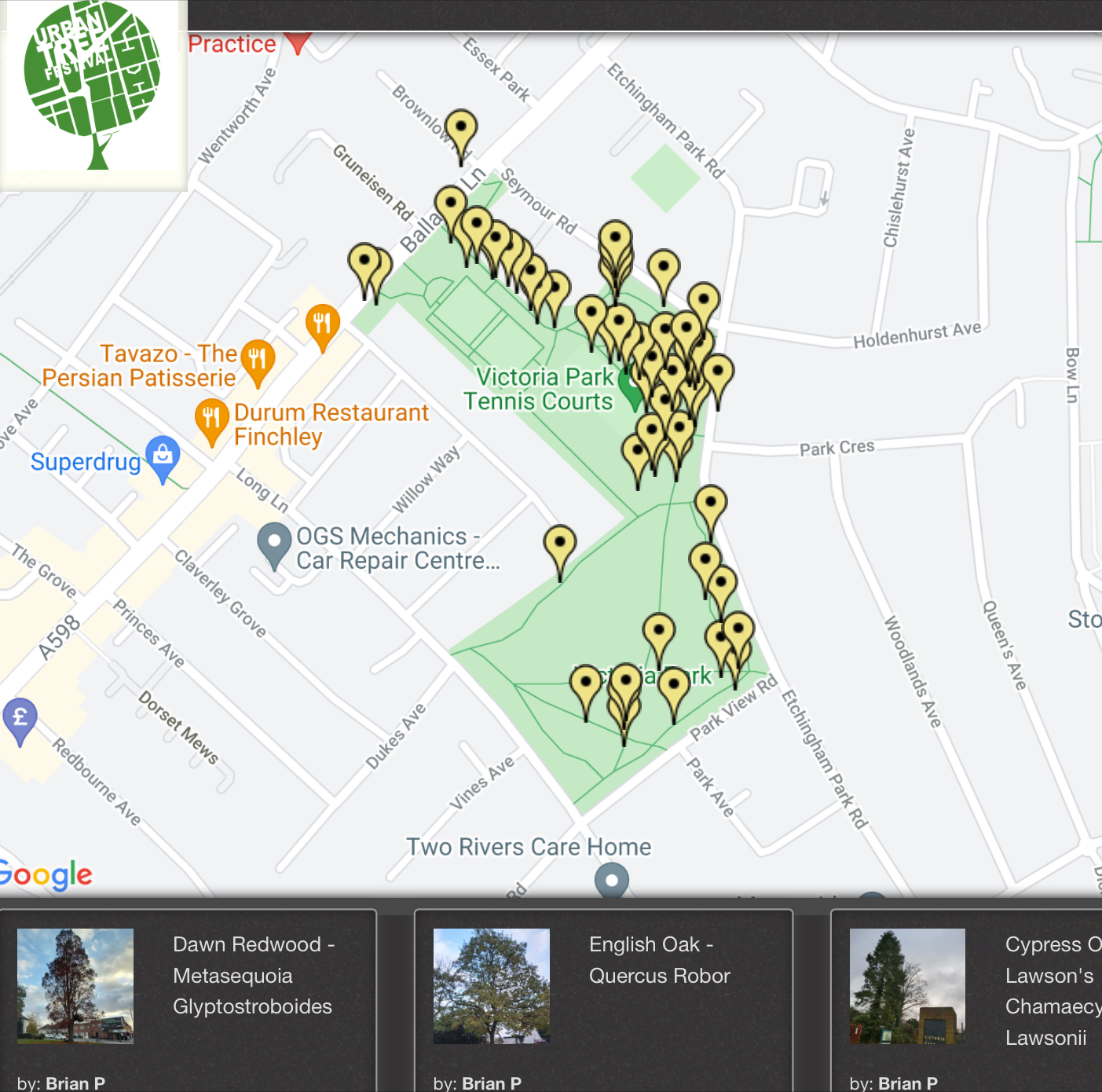 Tree Trail – Victoria Park in Finchley | Friends of Victoria Park